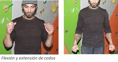7. flexión y extensión codos - Hand Therapy BCN